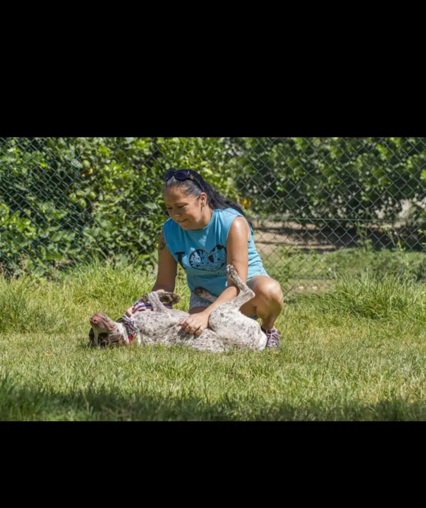 Lola | Pointer Rescue Service