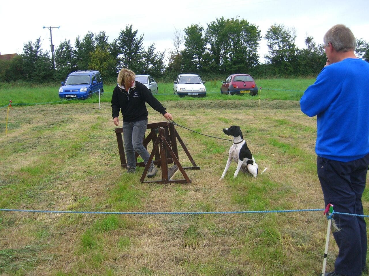 Training Tips | Pointer Rescue Service