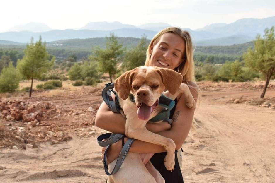 Penny | Pointer Rescue Service