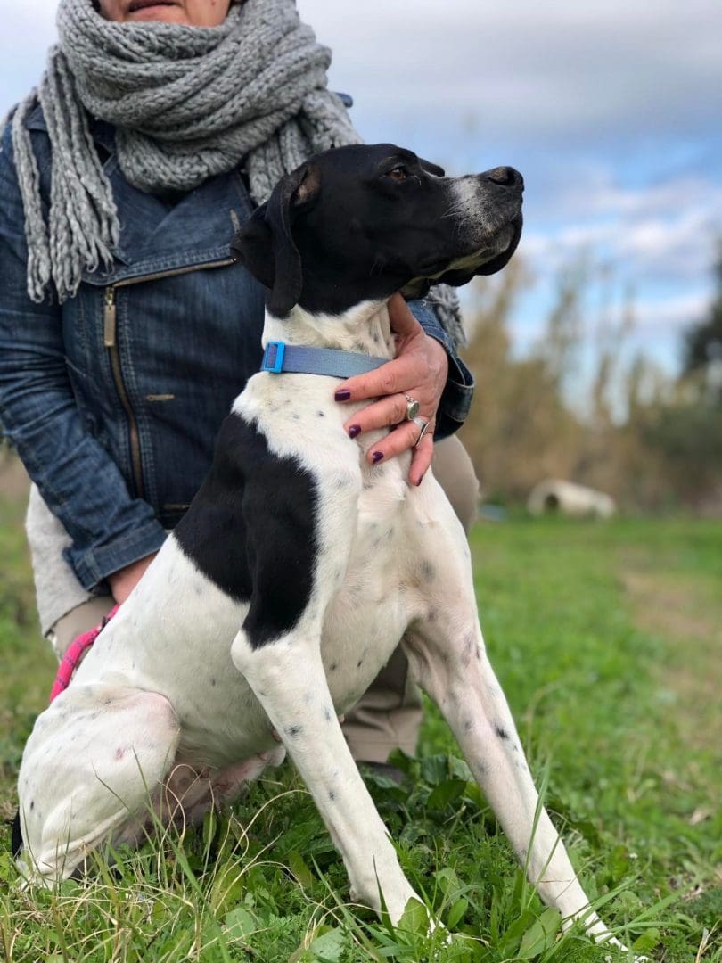 Timi | Pointer Rescue Service