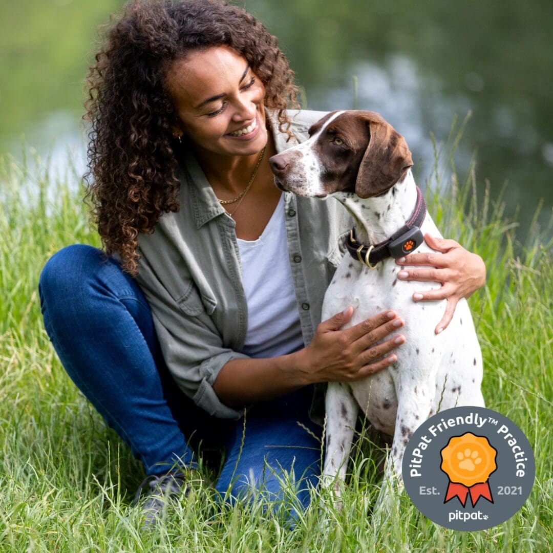 Win a PitPat Tracker for Your Adventurous Pointer | Pointer Rescue Service