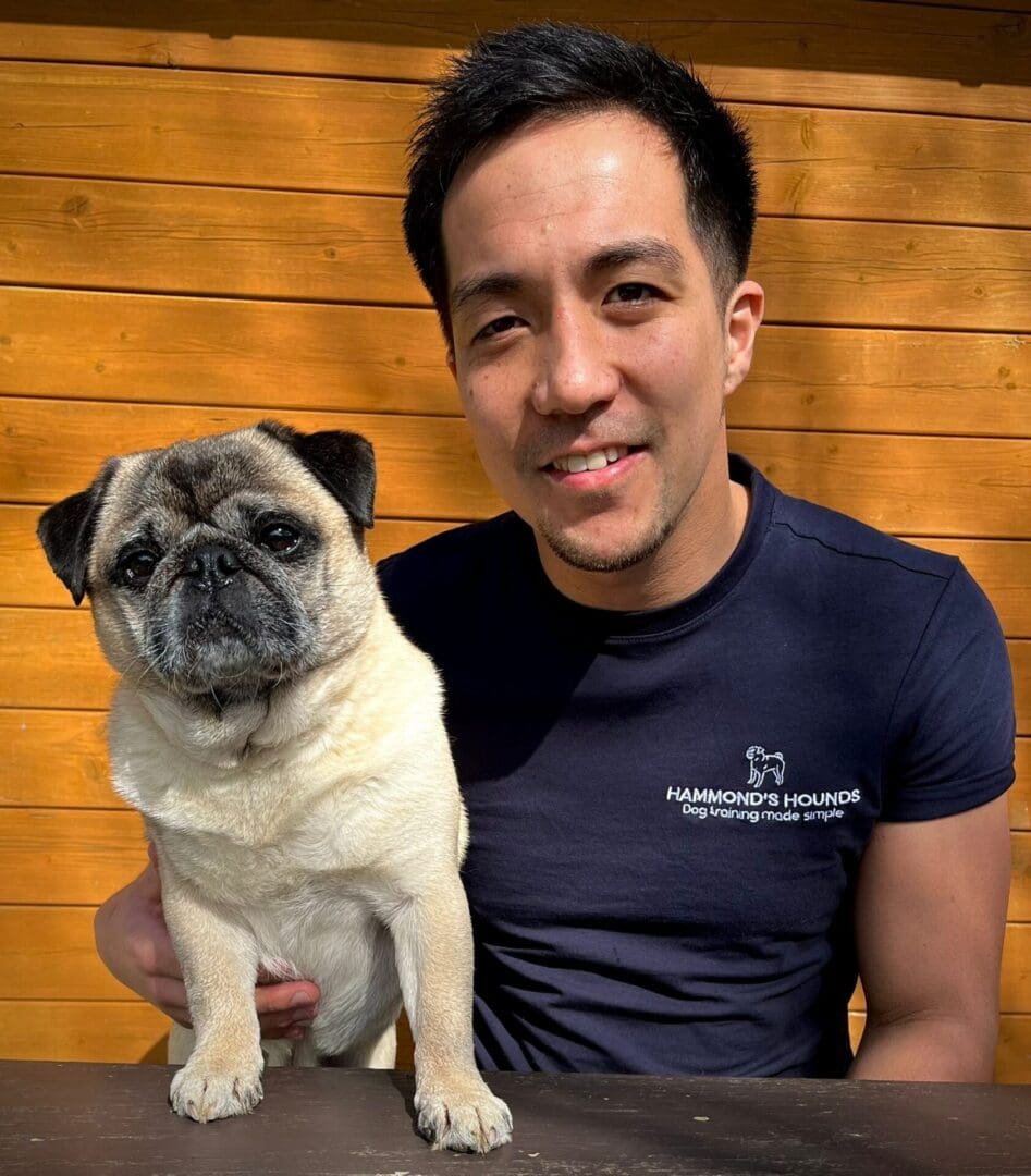 Phill Hammond | Pointer Rescue Service