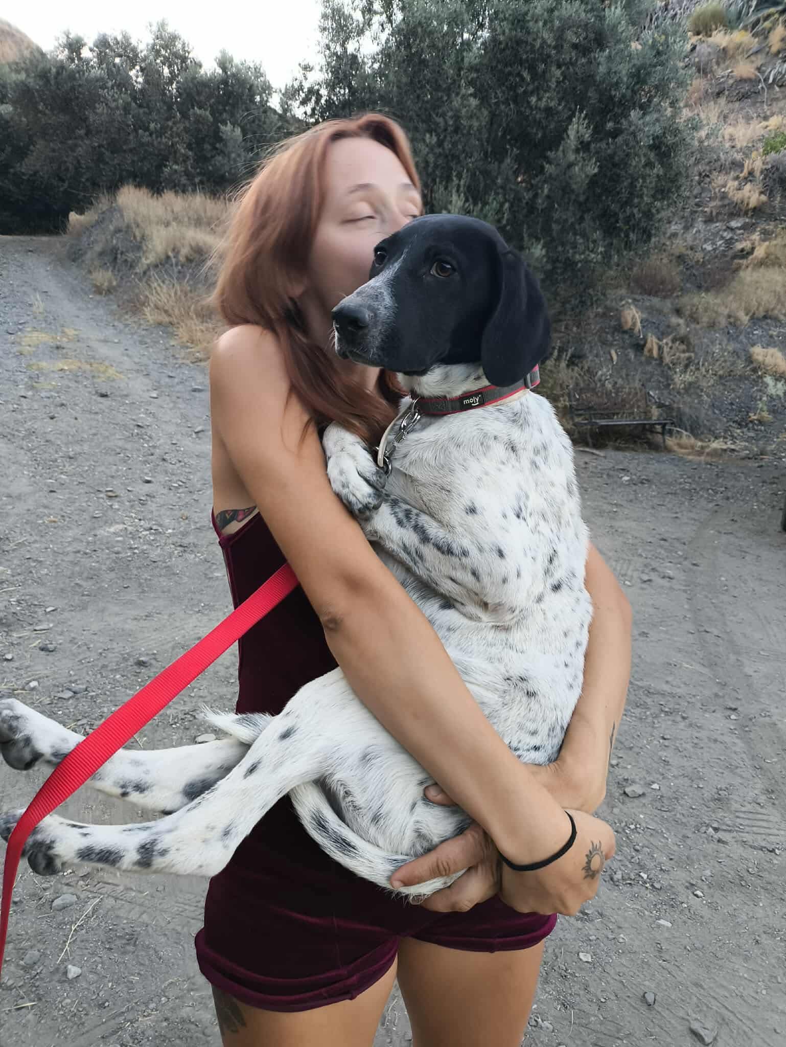 Little Benton ... Cute Alert with big paws! | Pointer Rescue Service