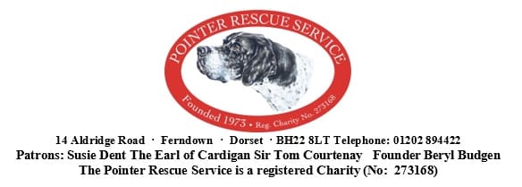 Surrender Form (No Payment) | Pointer Rescue Service