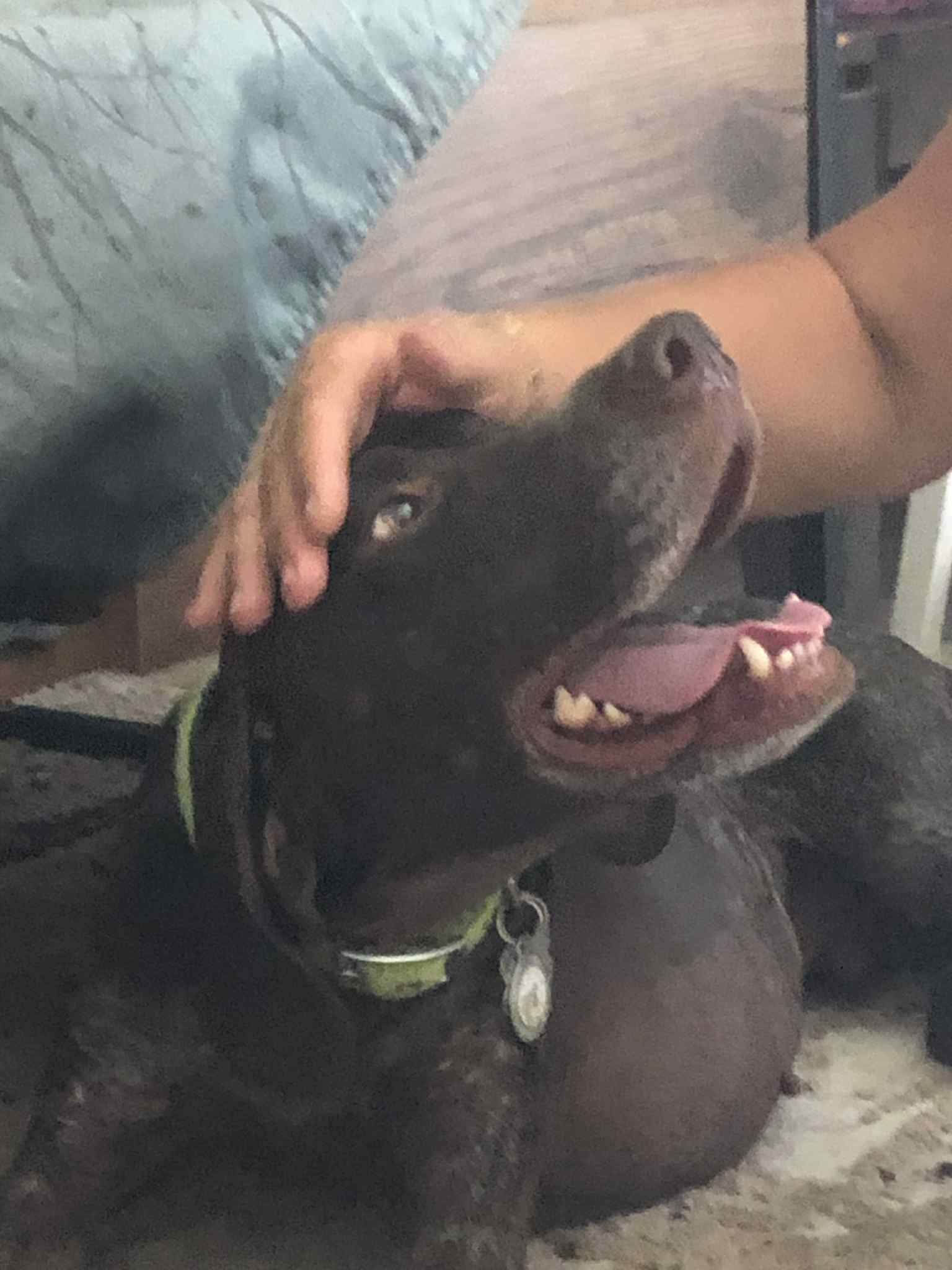 Konsul | Pointer Rescue Service